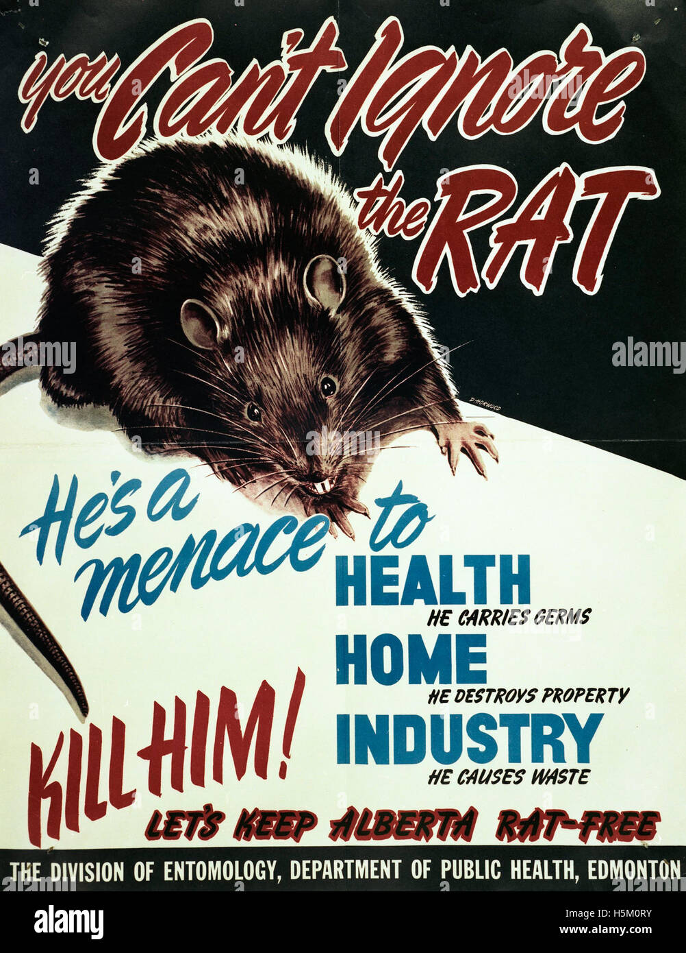 The Alberta Department of Public Health's Rat Poster 264 was created as ...