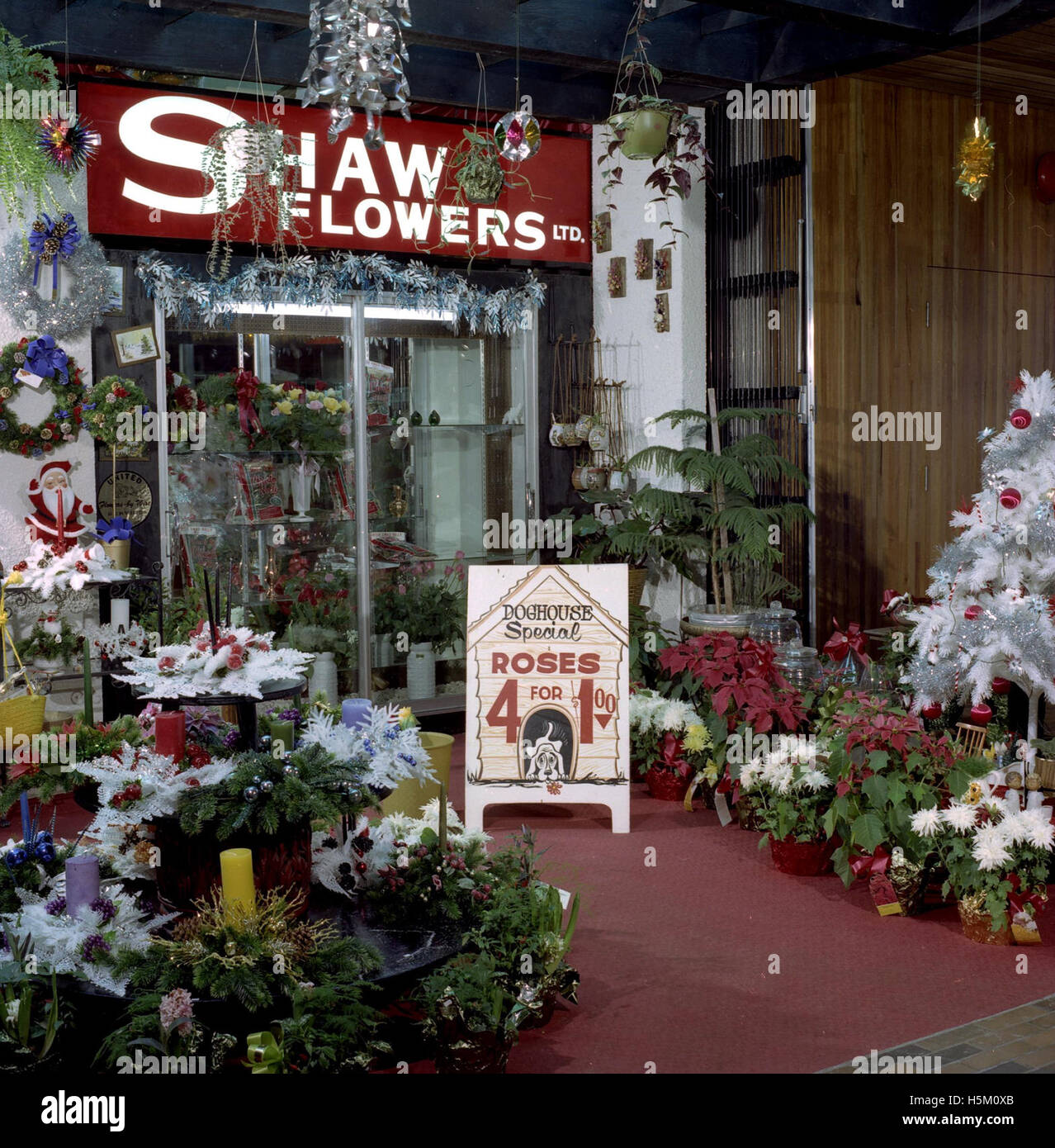 Shaw Flowers in Edmonton, Alberta, is depicted, showcasing a florist ...