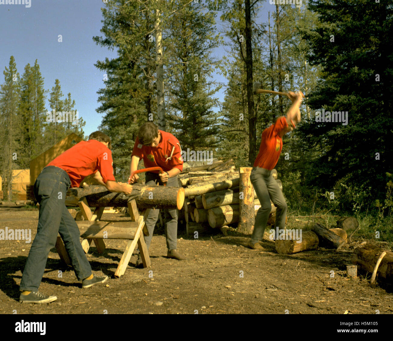 Wood chopping historic hi-res stock photography and images - Alamy
