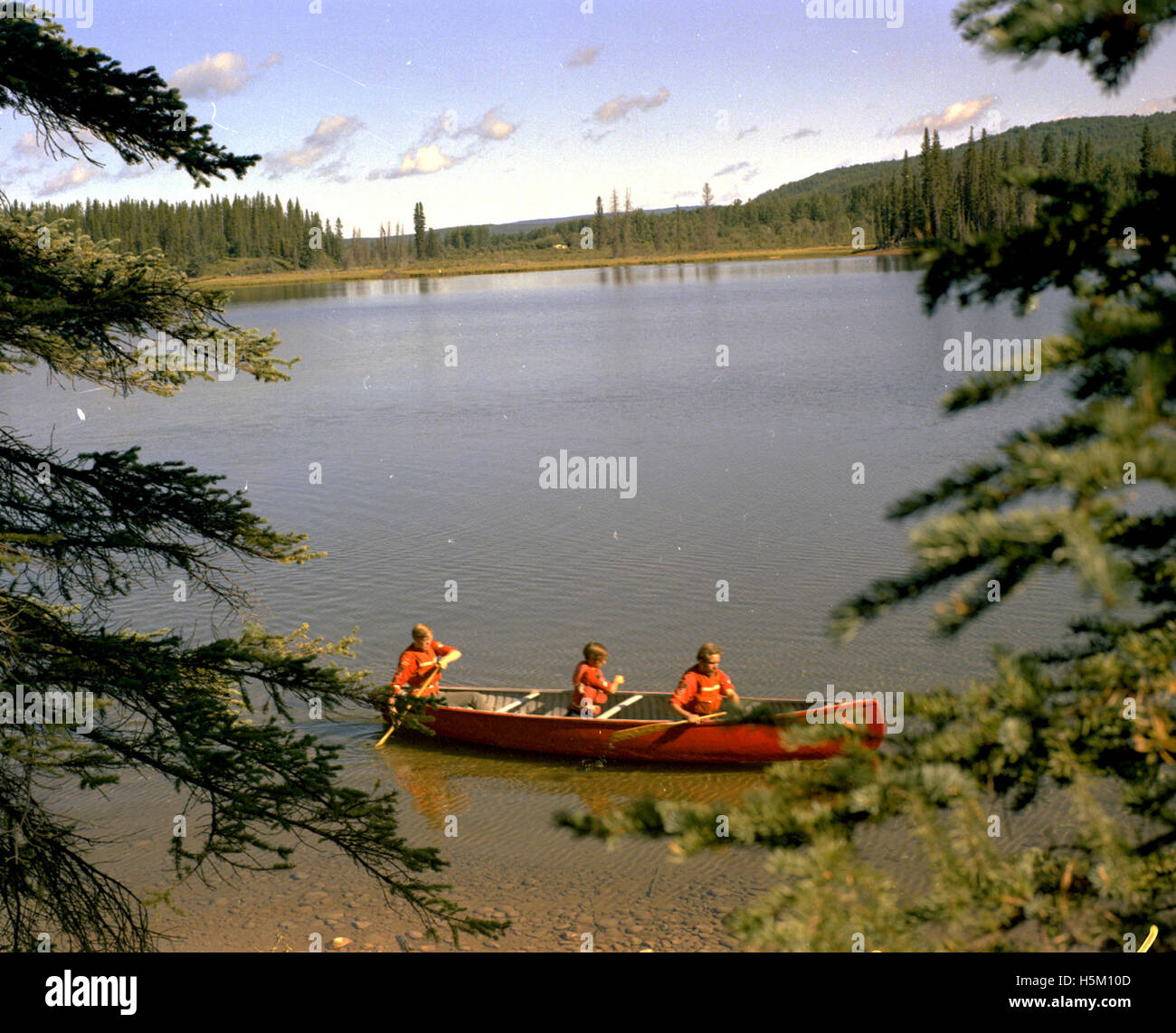 Junior forest wardens hi-res stock photography and images - Alamy