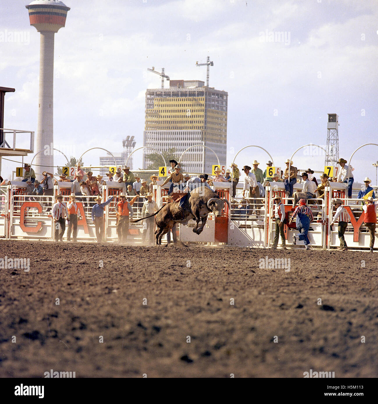 This image captures the intense action of bull riding at the Calgary ...