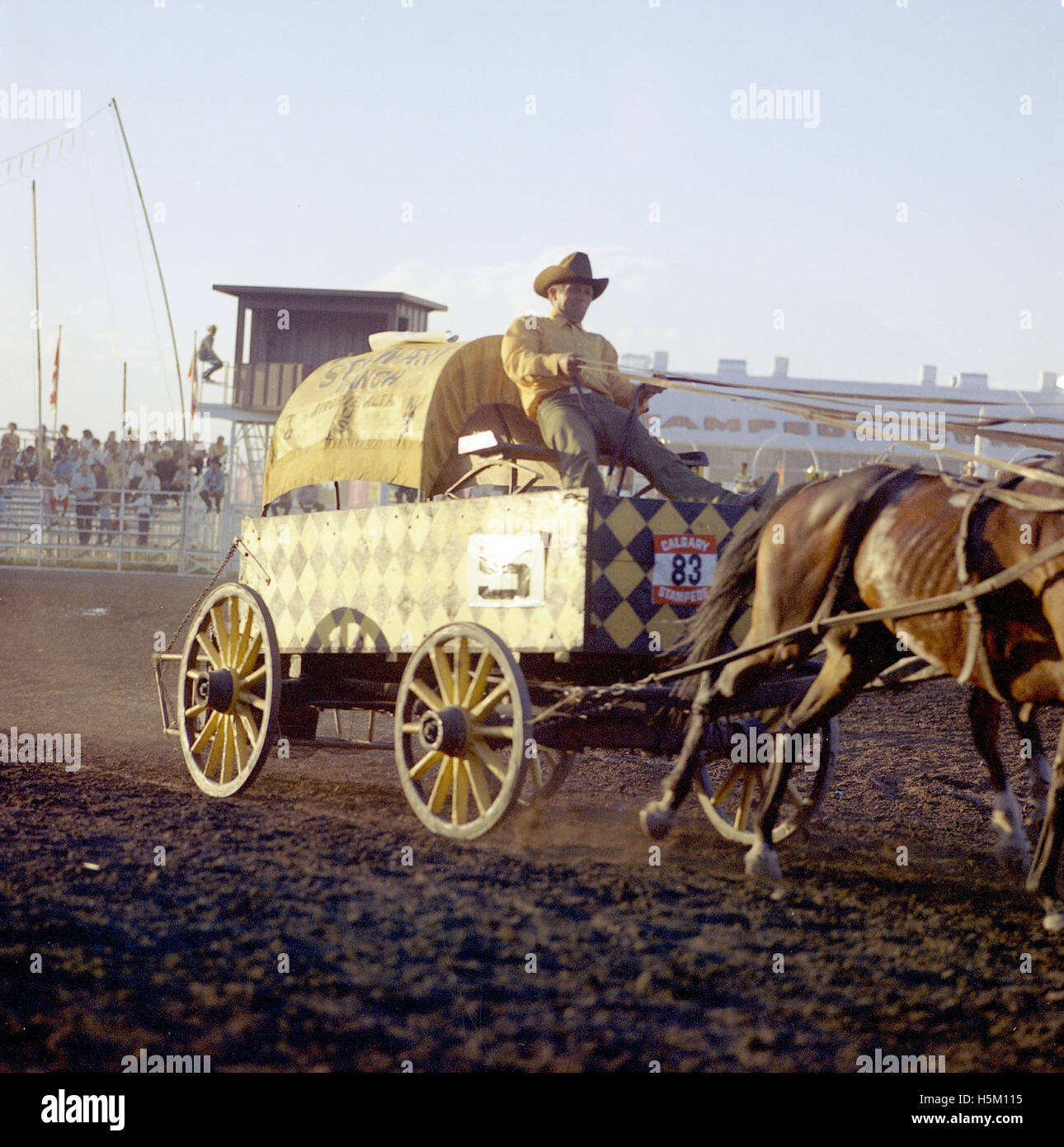 The Chuckwagon race at the Calgary Stampede in Alberta, Canada, is ...