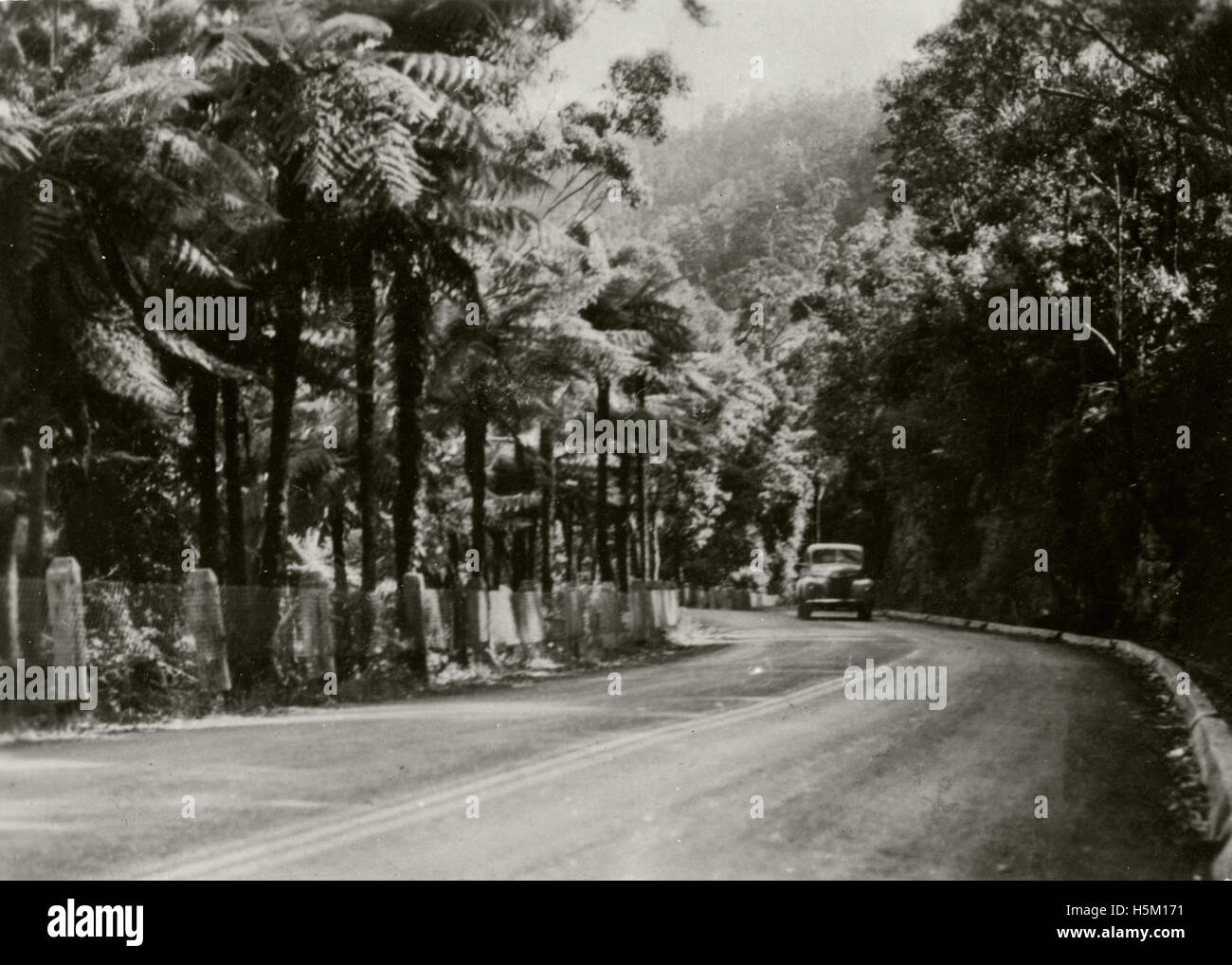 An undated photograph of Bulli Pass, located in the Illawarra region ...