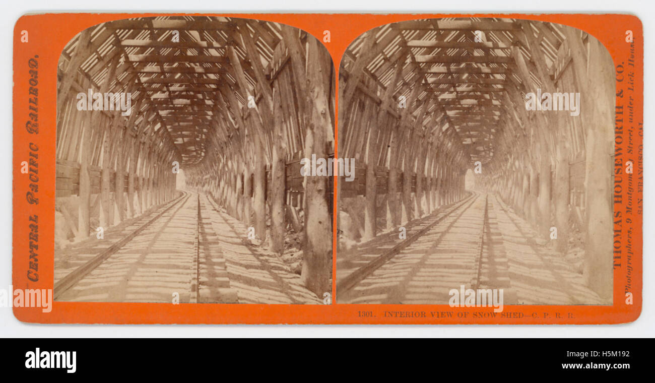 This interior view shows a snow shed, part of the Canadian Pacific ...