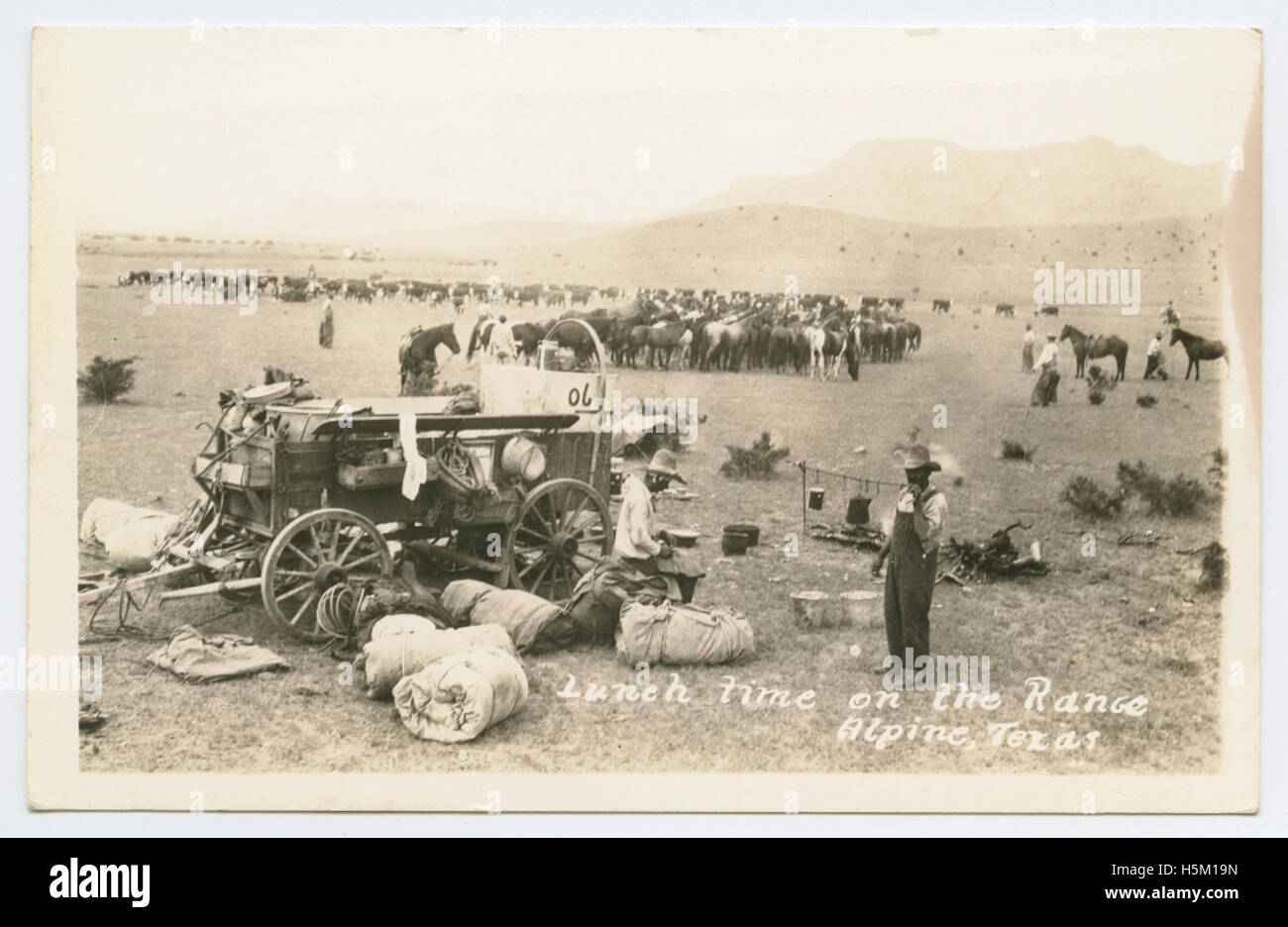 Lunch time on the Range, Alpine, Texas Stock Photo - Alamy