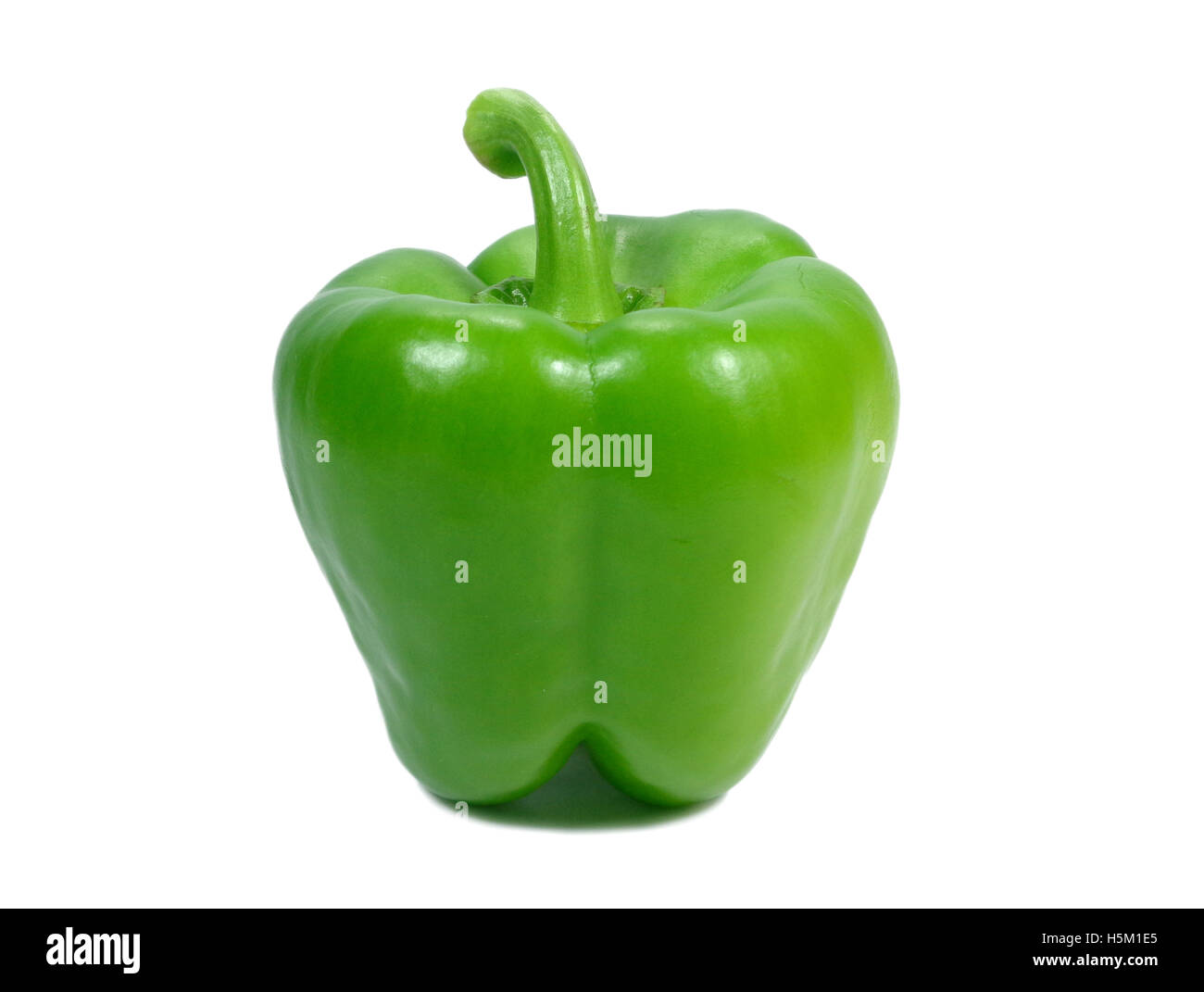 One ripe bright green bell pepper with stem isolated on white ...