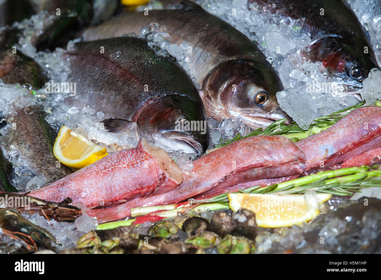 Frozen fish view Stock Photo - Alamy