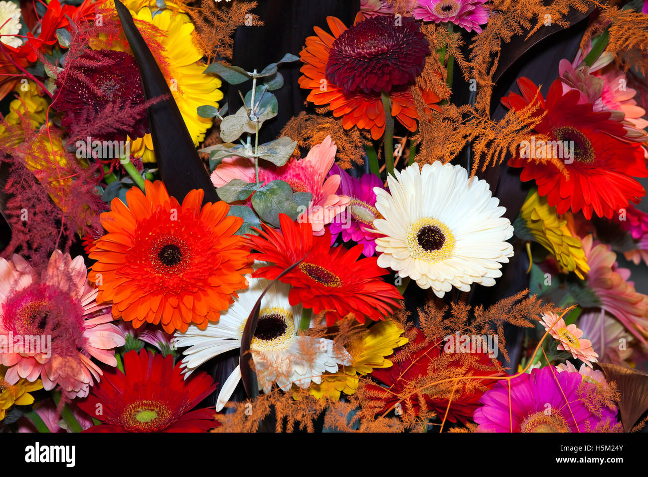 Abstract flowers background Stock Photo - Alamy