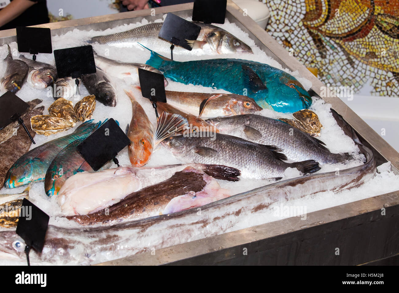 Frozen fish view Stock Photo - Alamy
