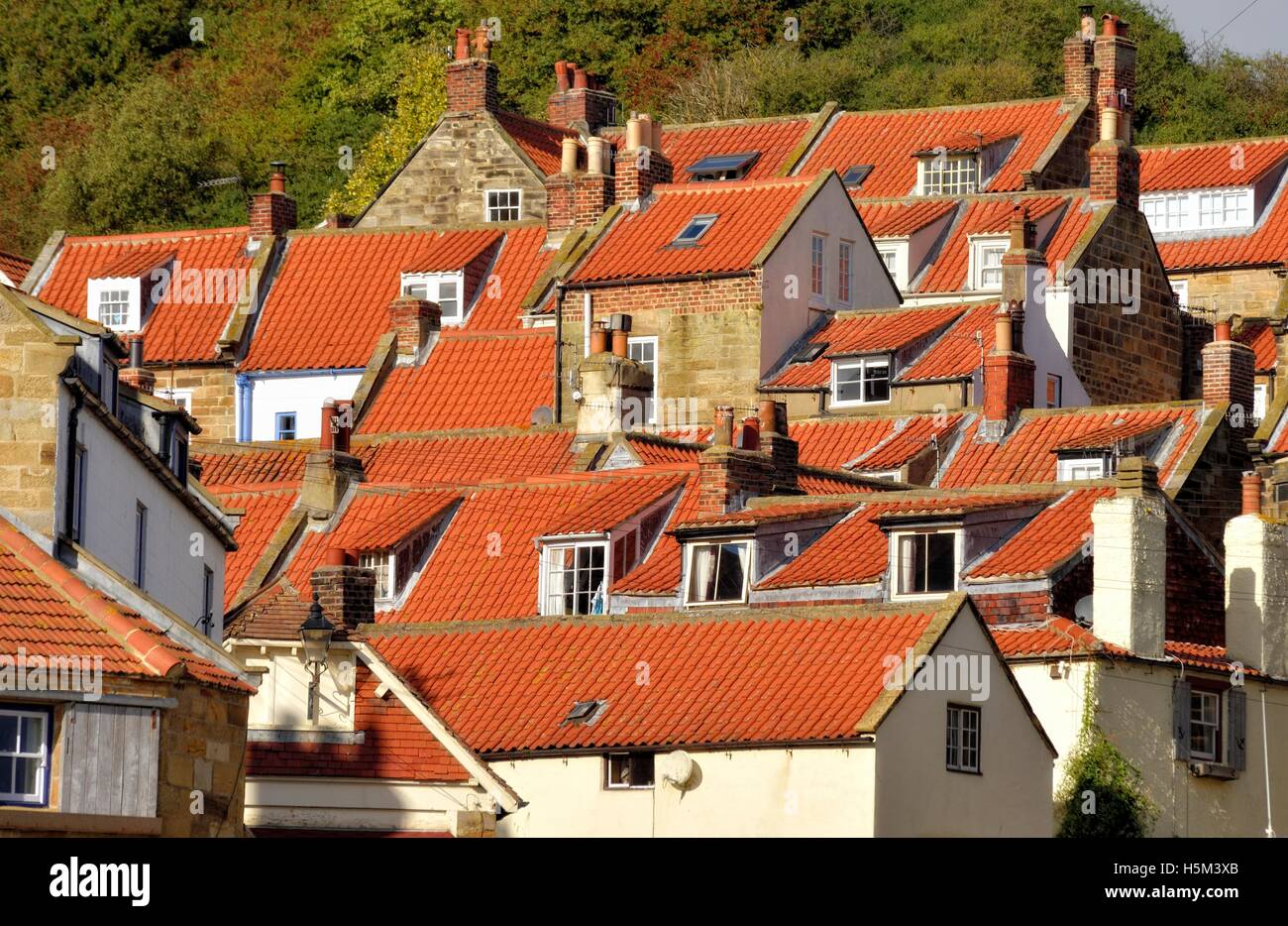 Terracotta rooftops in robin hoods bay North Yorkshire England UK Stock ...