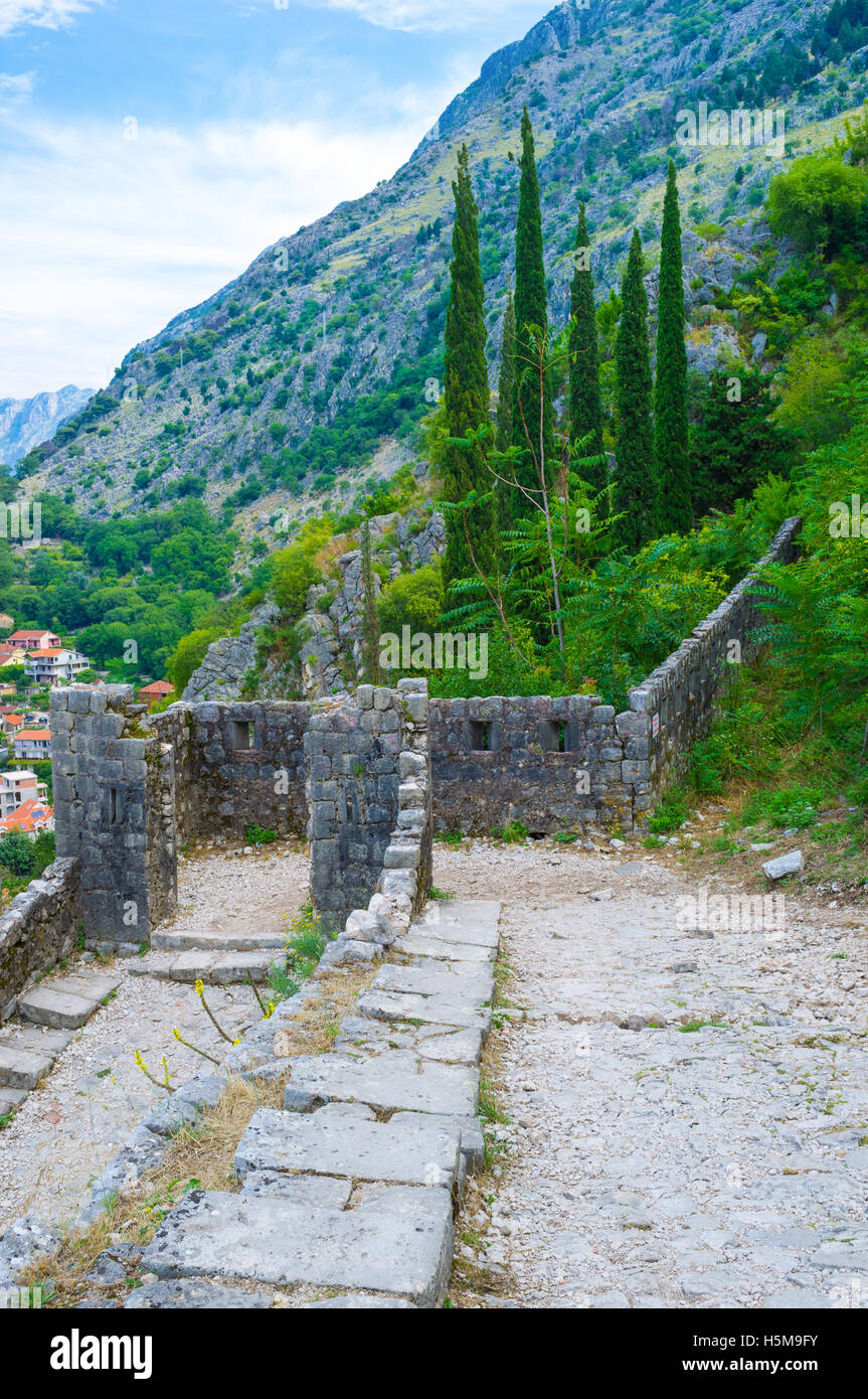 The ruins of the medieval citadel of St John surrounded by forest and ...