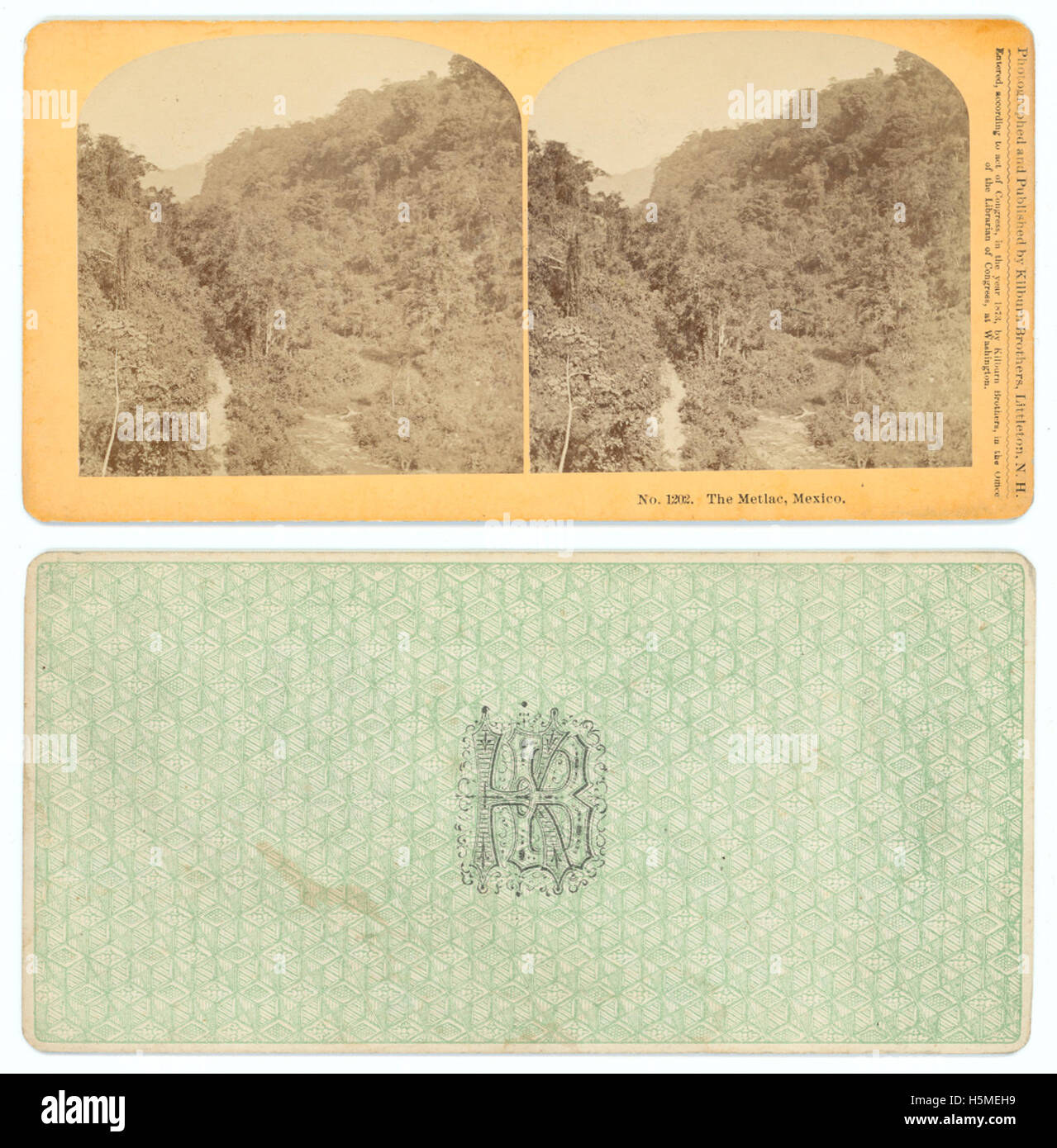 An image of The Metlac, a region in Mexico known for its forests ...