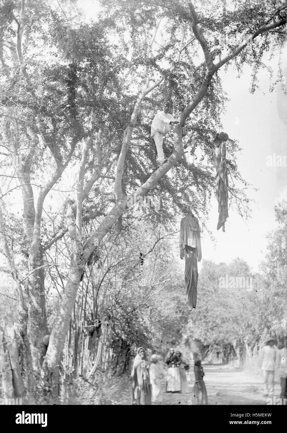 A historical image from the Mexican Revolution, showing the tragic ...