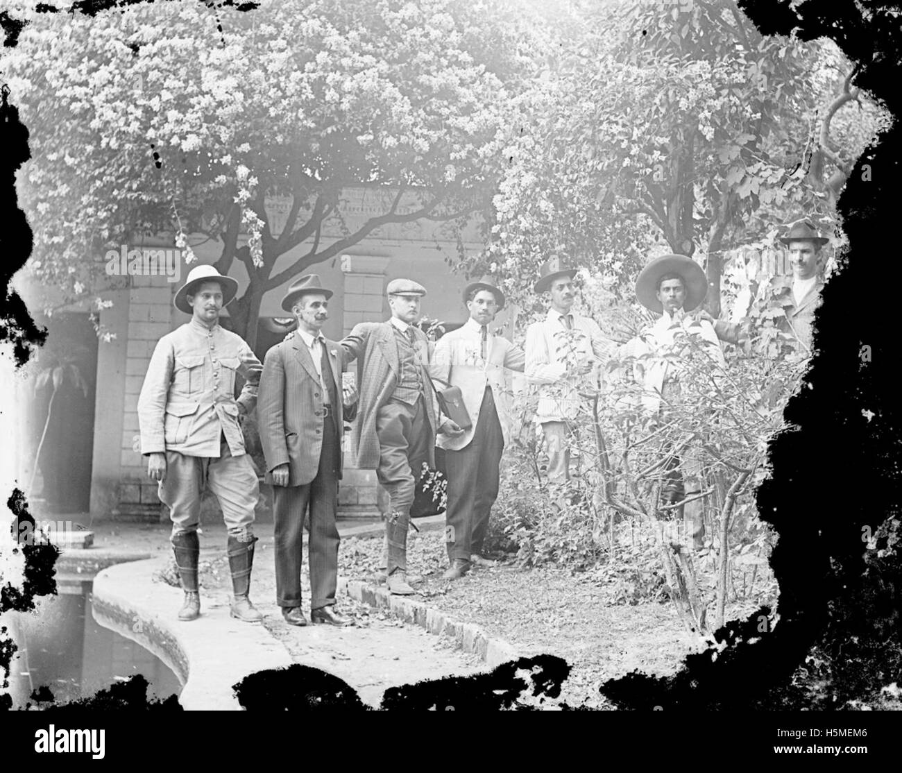 [Group of Men Standing Under Blooming Trees] Stock Photo - Alamy