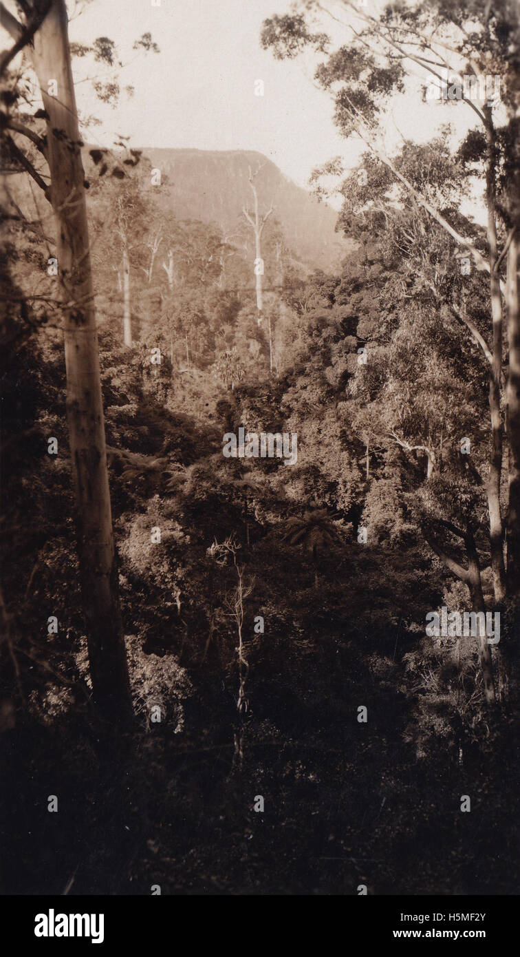 Bulli Pass is a significant landmark located in the Illawarra region of ...