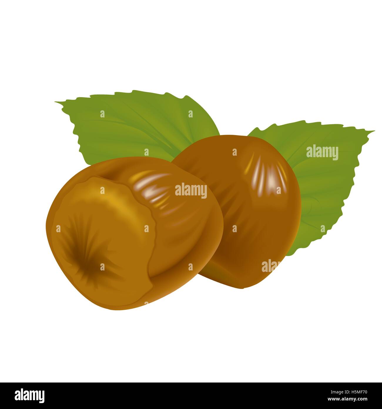 Nut cut out Stock Vector Images - Alamy