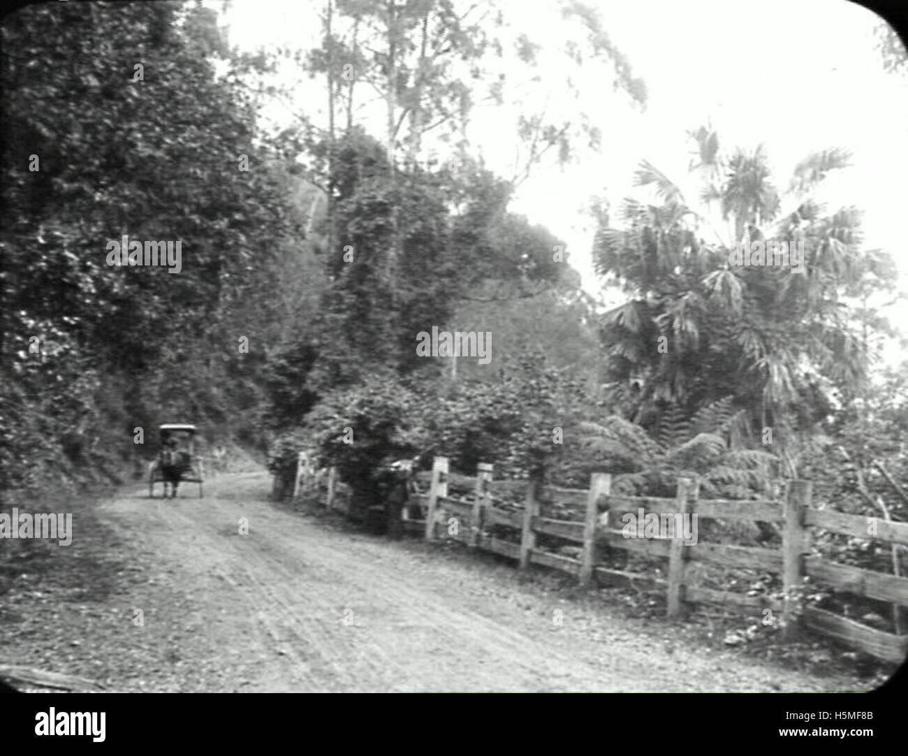 Bulli Pass High Resolution Stock Photography and Images - Alamy