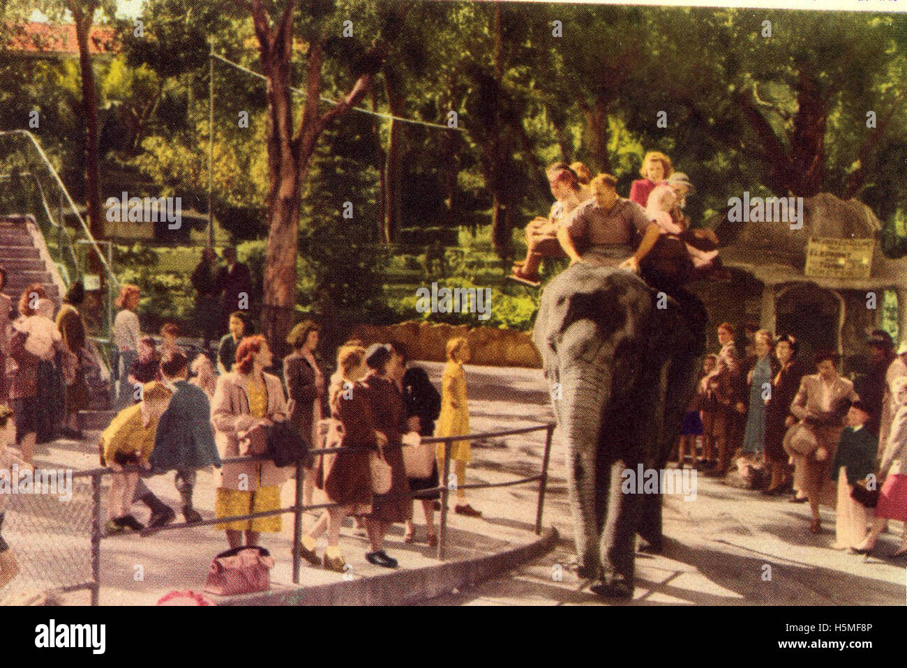 Taronga Park Zoo, located in Sydney, Australia, is one of the leading ...