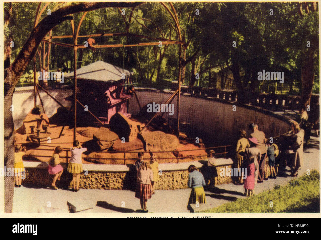 A photograph of Taronga Park Zoo, one of Australia's most renowned ...