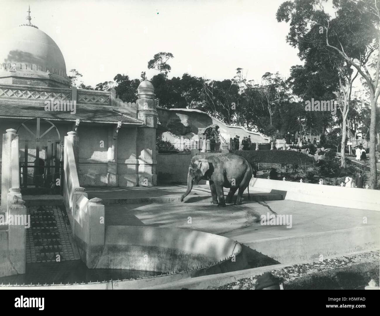 Taronga Park Zoo, located in Sydney, Australia, was founded in 1916 ...