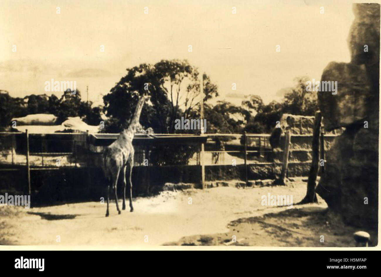 This photograph from 1937 shows Taronga Park Zoo in Sydney, Australia ...