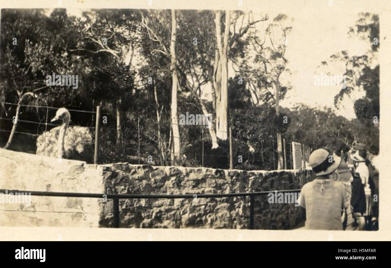 A historical photograph of Taronga Park Zoo in 1937, showcasing the zoo ...