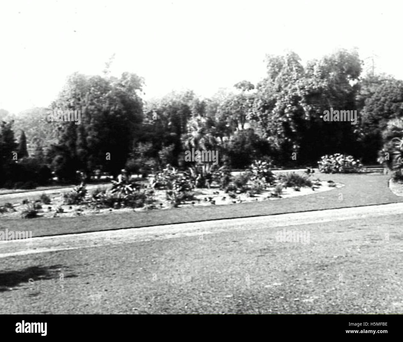 The Sydney Botanic Garden is a well-known public garden in Sydney ...