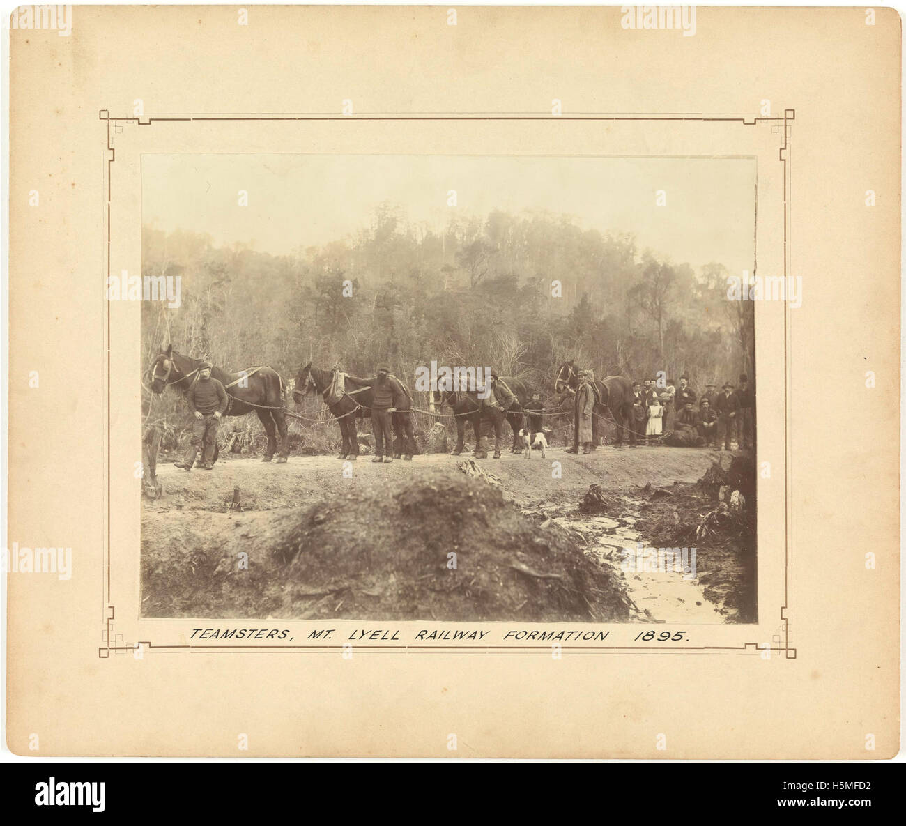This image shows the formation of the Mt Lyell Railway in 1895, with ...
