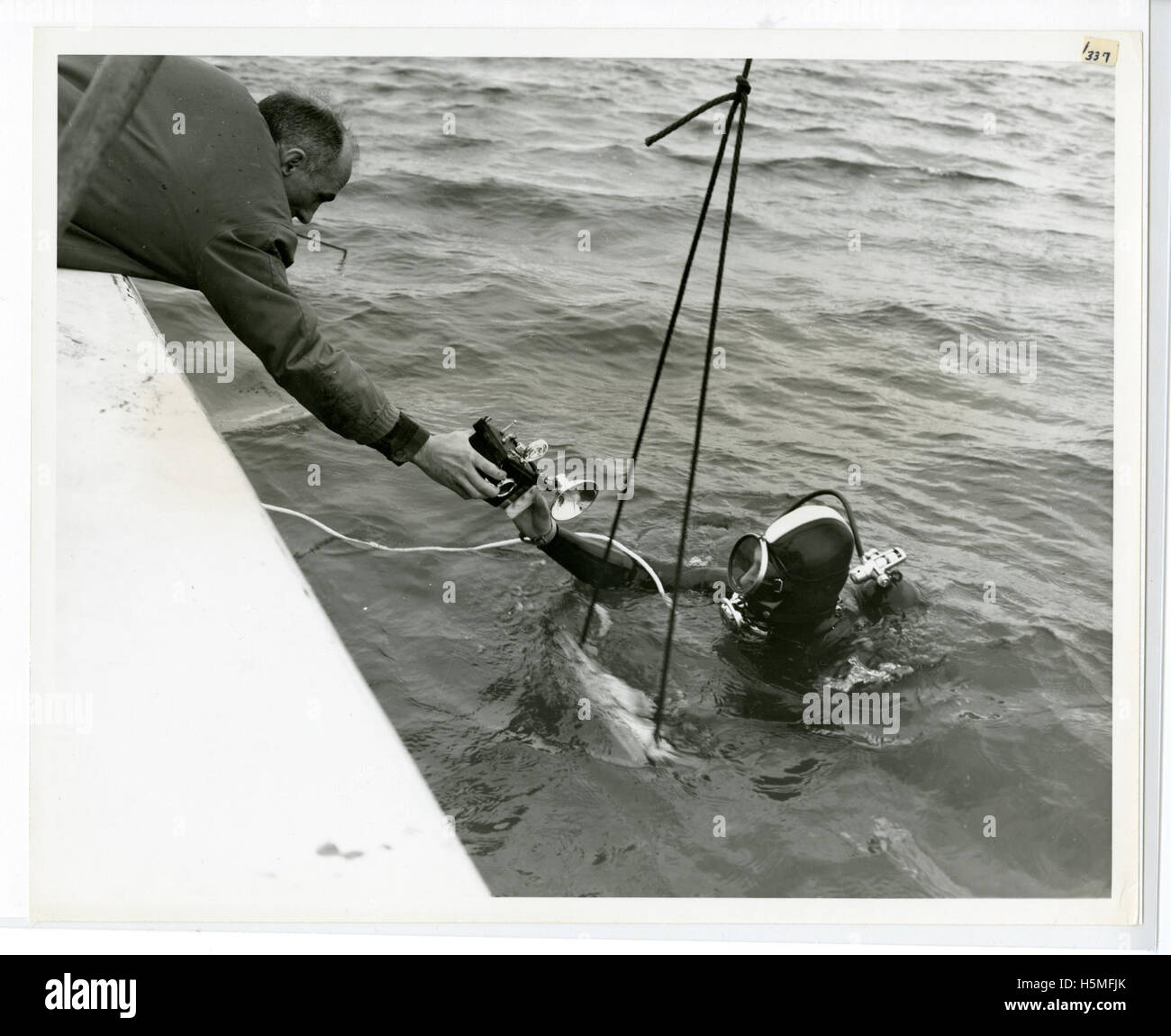 The image depicts a scuba diver taking underwater photos of a bay in ...