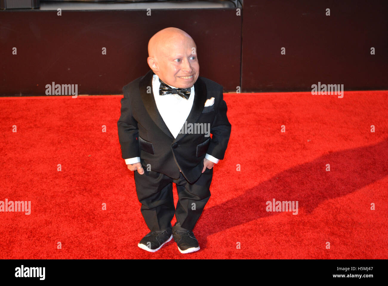 Verne Troyer attends the 2015 Celebrity Fight Night red carpet at JW ...