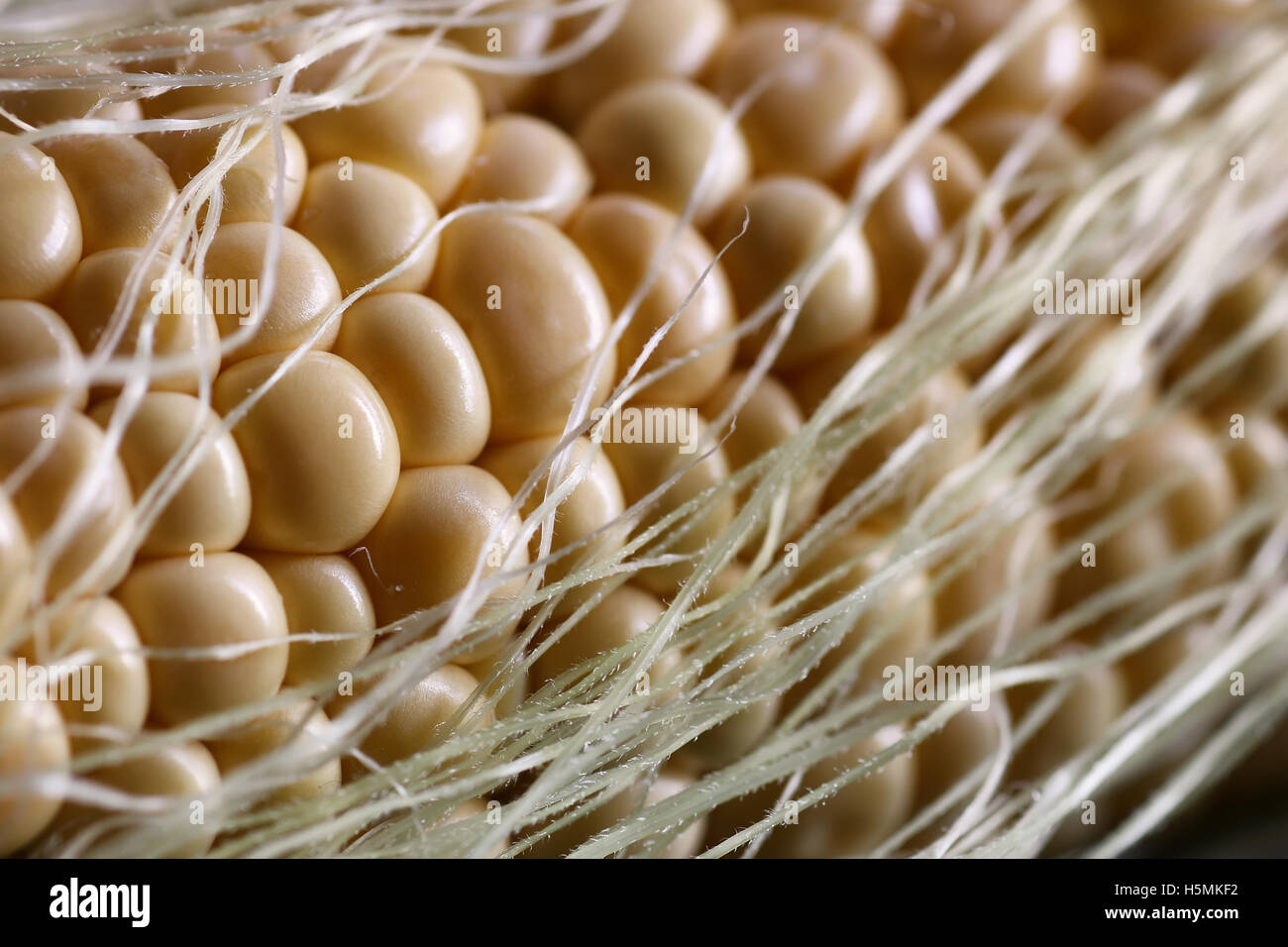 corn cob young macro Stock Photo - Alamy