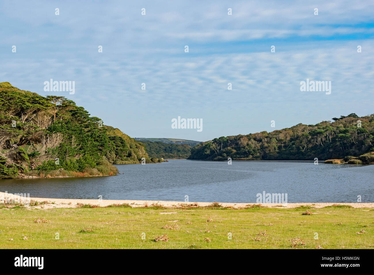 Loe pool near Helston in Cornwall, UK Stock Photo - Alamy