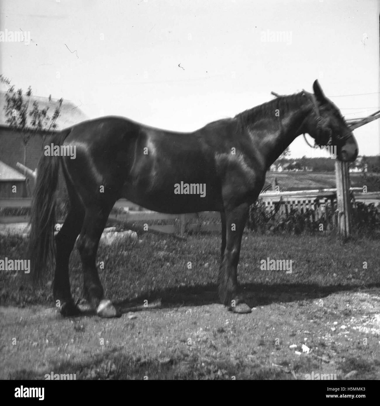 Most Photographed Places High Resolution Stock Photography and Images ...