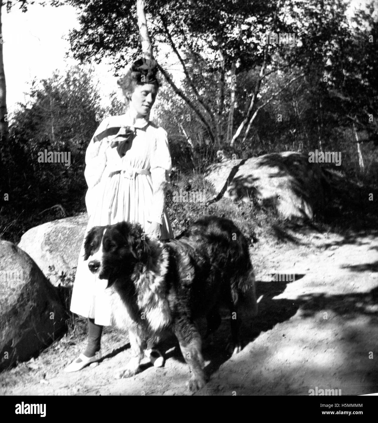 Jennie the dog hi-res stock photography and images - Alamy