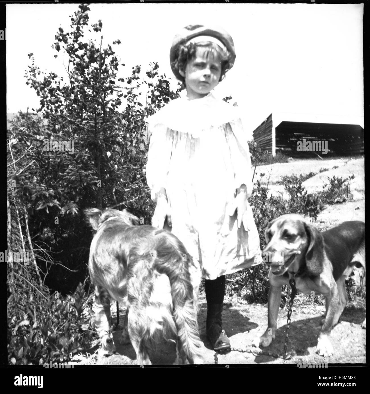 Photographs or documents related to Margaret Talbot, taken on June 24 ...