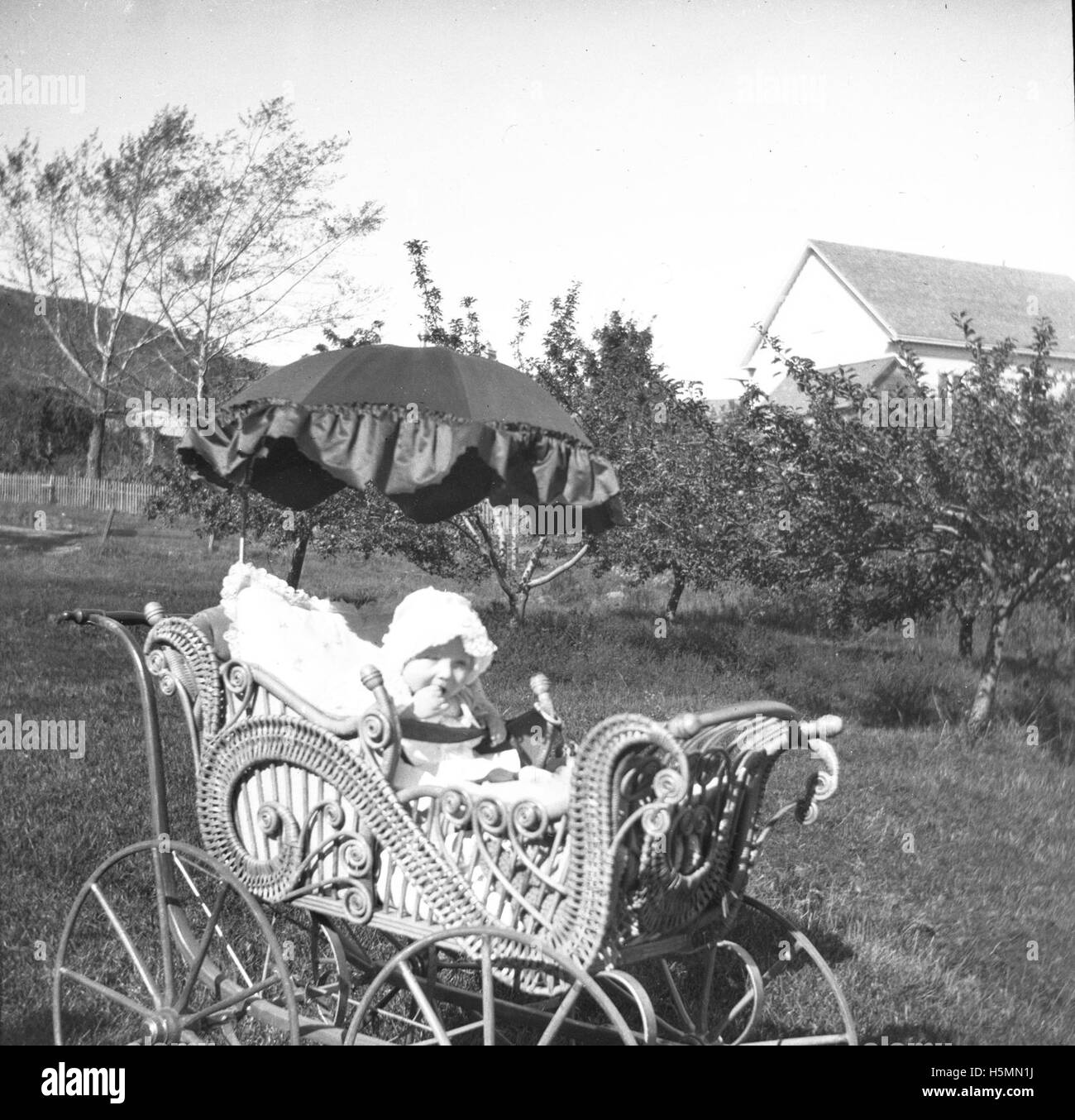 "Baby Norman in carriage, September 1900 Stock Photo - Alamy
