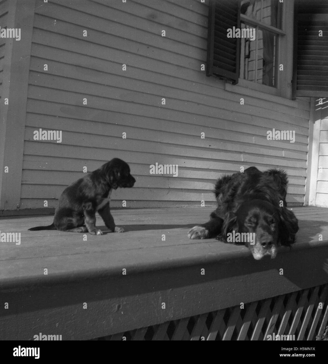 "Bob & Bob Jr, November 1899 Stock Photo - Alamy