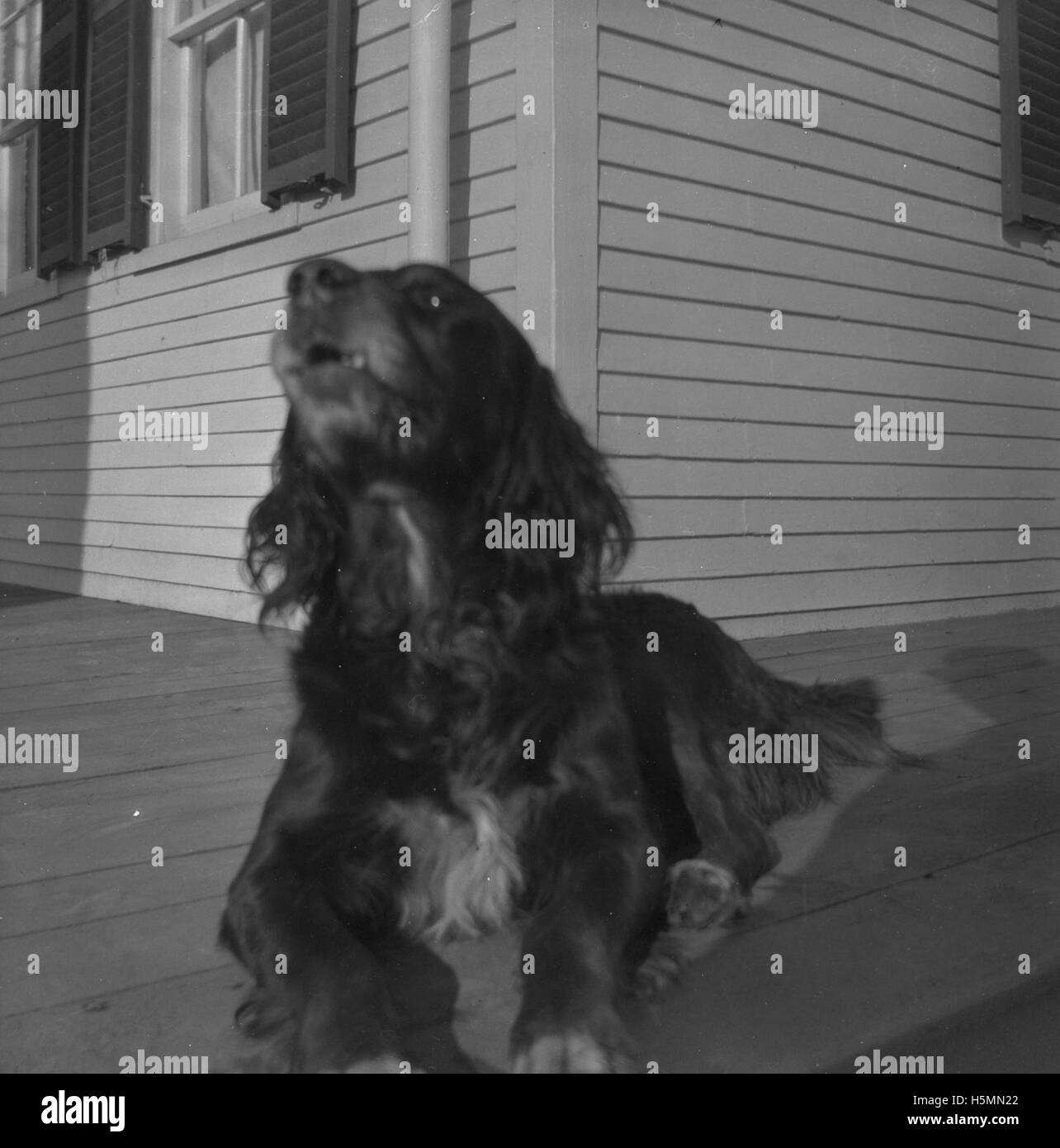 This photograph from November 1899 shows Bob and his son, Bob Jr. The ...