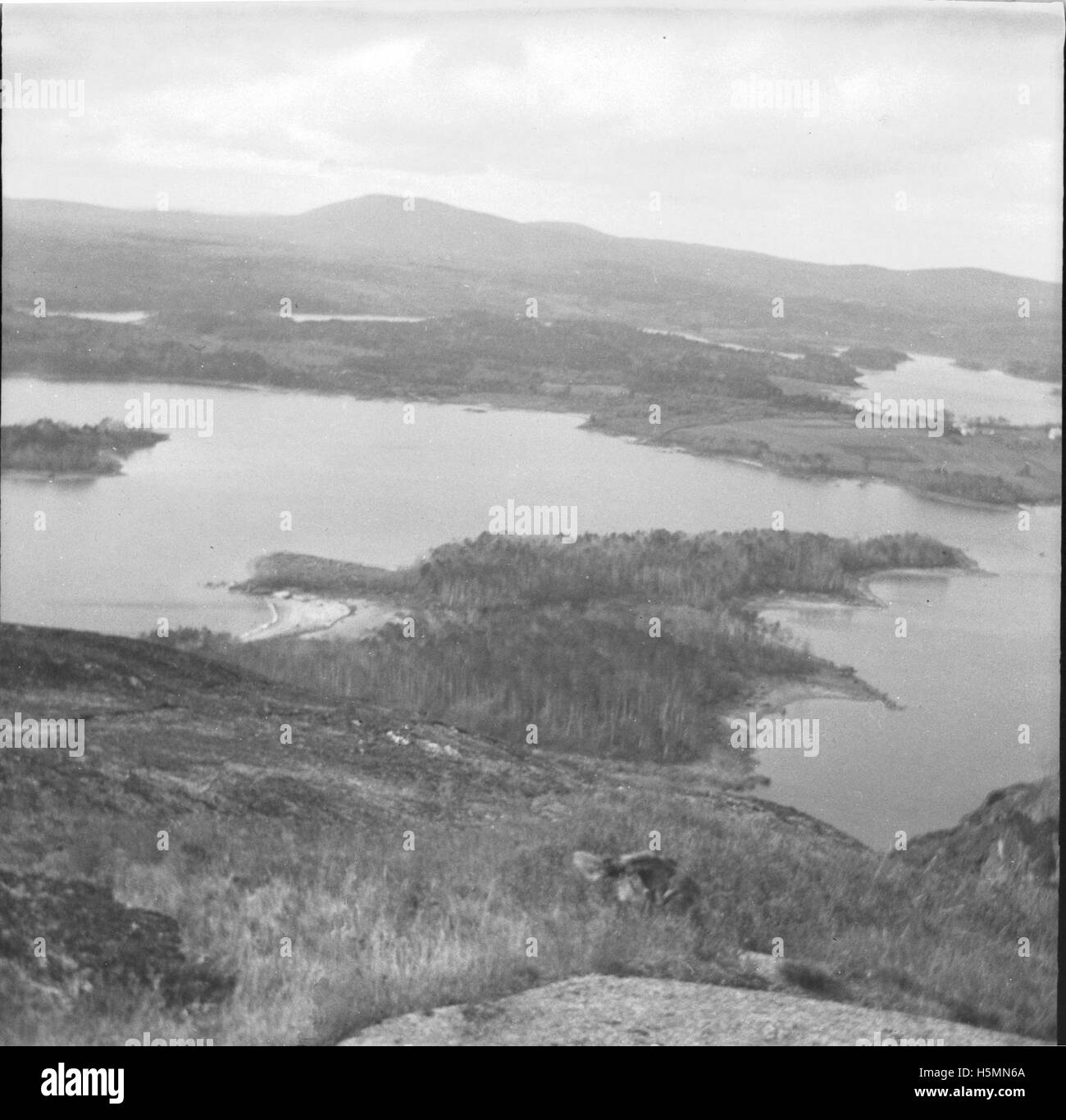 A view of Megunticook Lake and its surrounding areas from the summit of ...