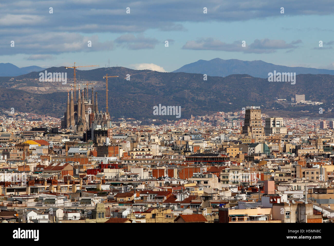 Barcelona cityscape shot from Montjuic mountain, with the Sagrada ...