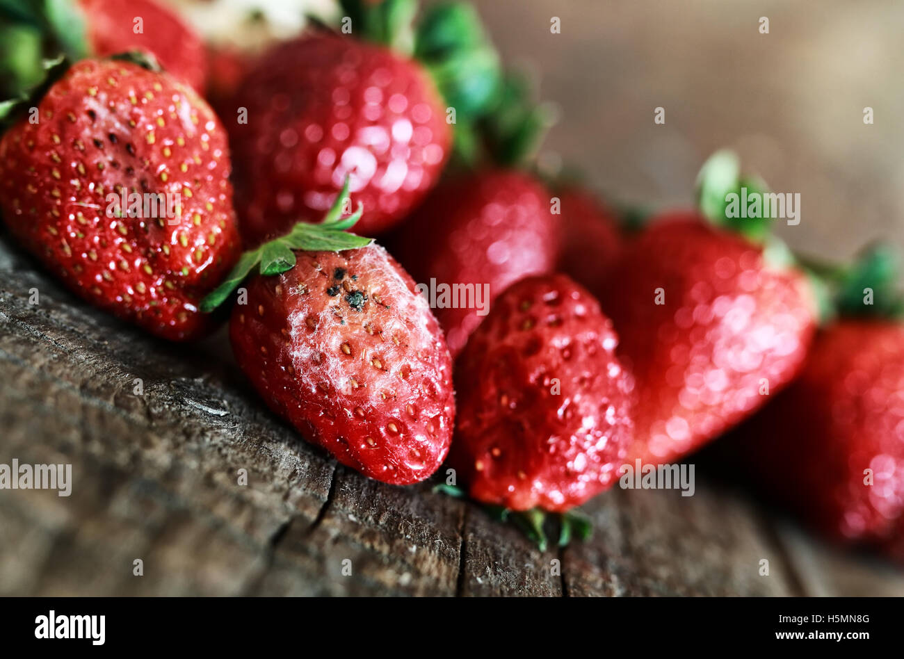 Rotten strawberries hi-res stock photography and images - Alamy
