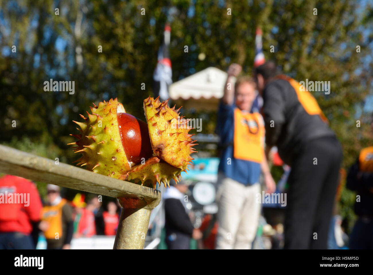 World conker champion championships hi-res stock photography and images ...