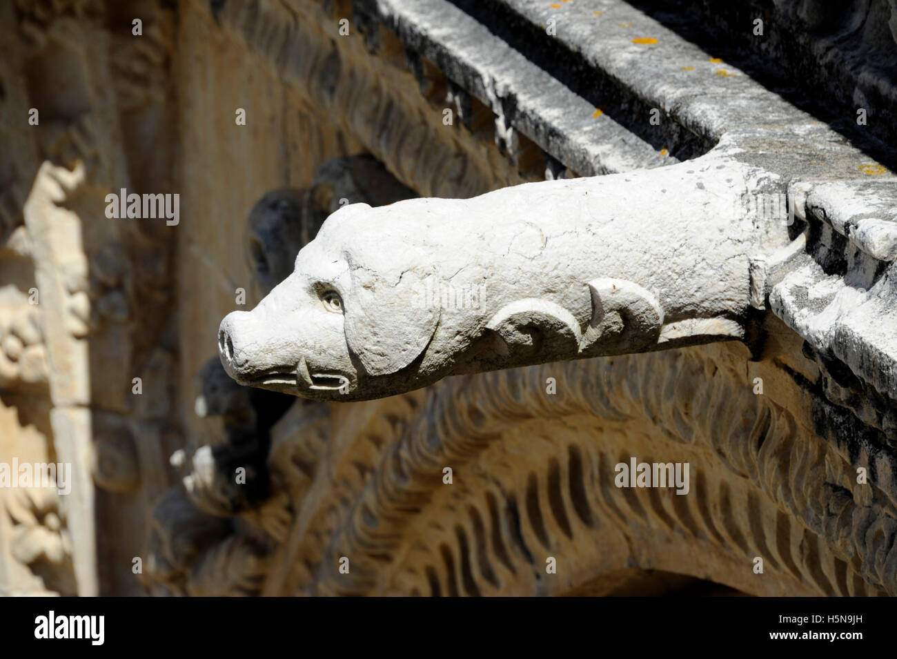 The cloister, gargoyle pig, Jeronimos Monastery, Hieronymites Monastery ...