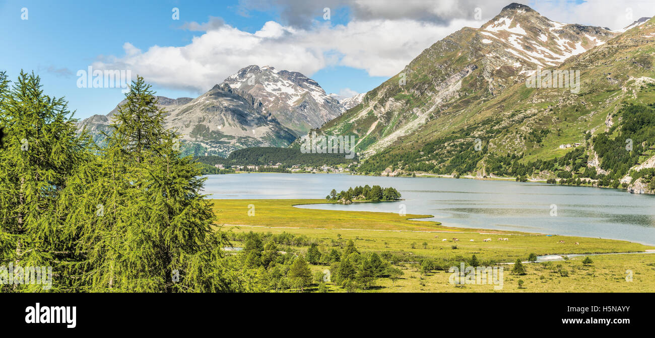 Summer landscape, Lake Sils, Upper Engadin, Switzerland Stock Photo - Alamy
