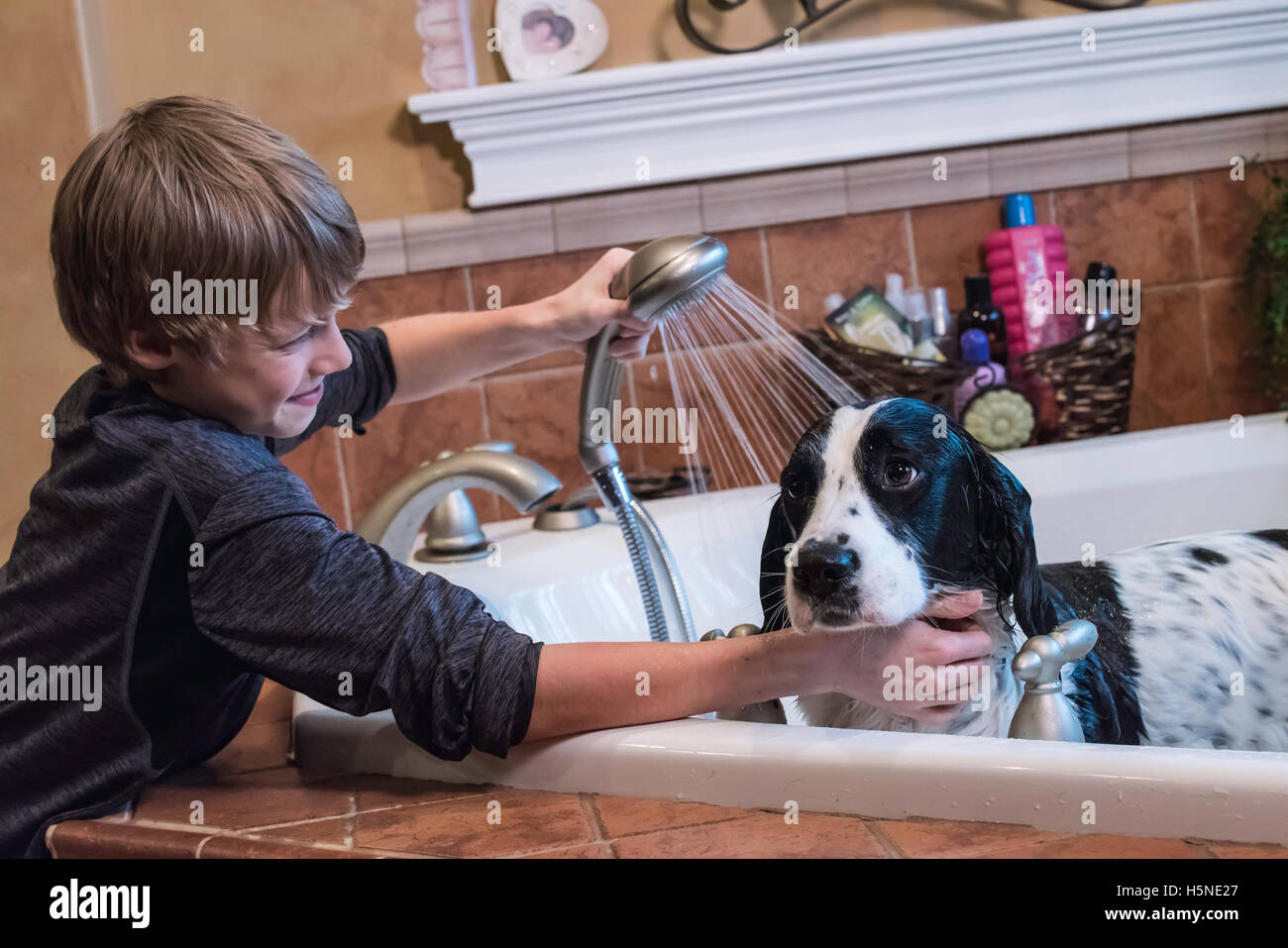 Boy washing dog hi-res stock photography and images - Alamy