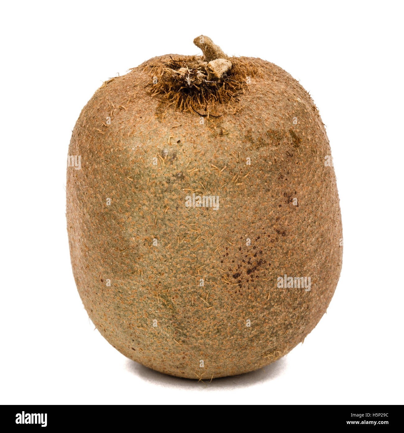 One kiwi fruit, isolated on white background Stock Photo - Alamy