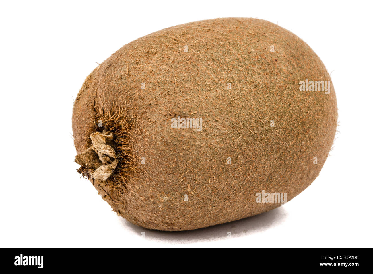 One kiwi fruit, isolated on white background Stock Photo - Alamy