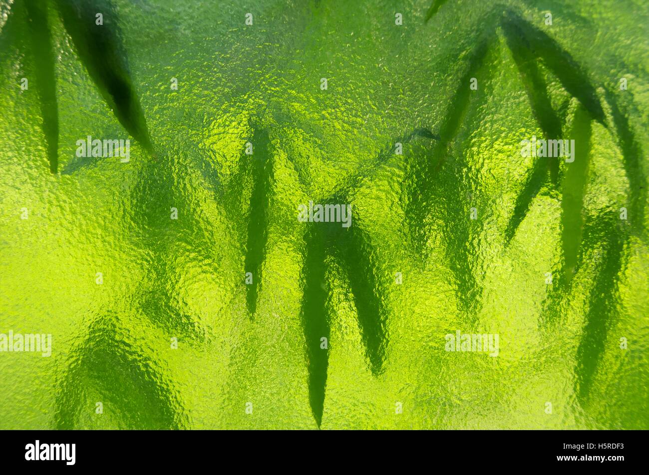 Frosted glass texture hi-res stock photography and images - Alamy