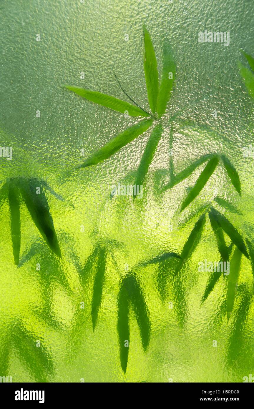 Frosted glass texture hi-res stock photography and images - Alamy