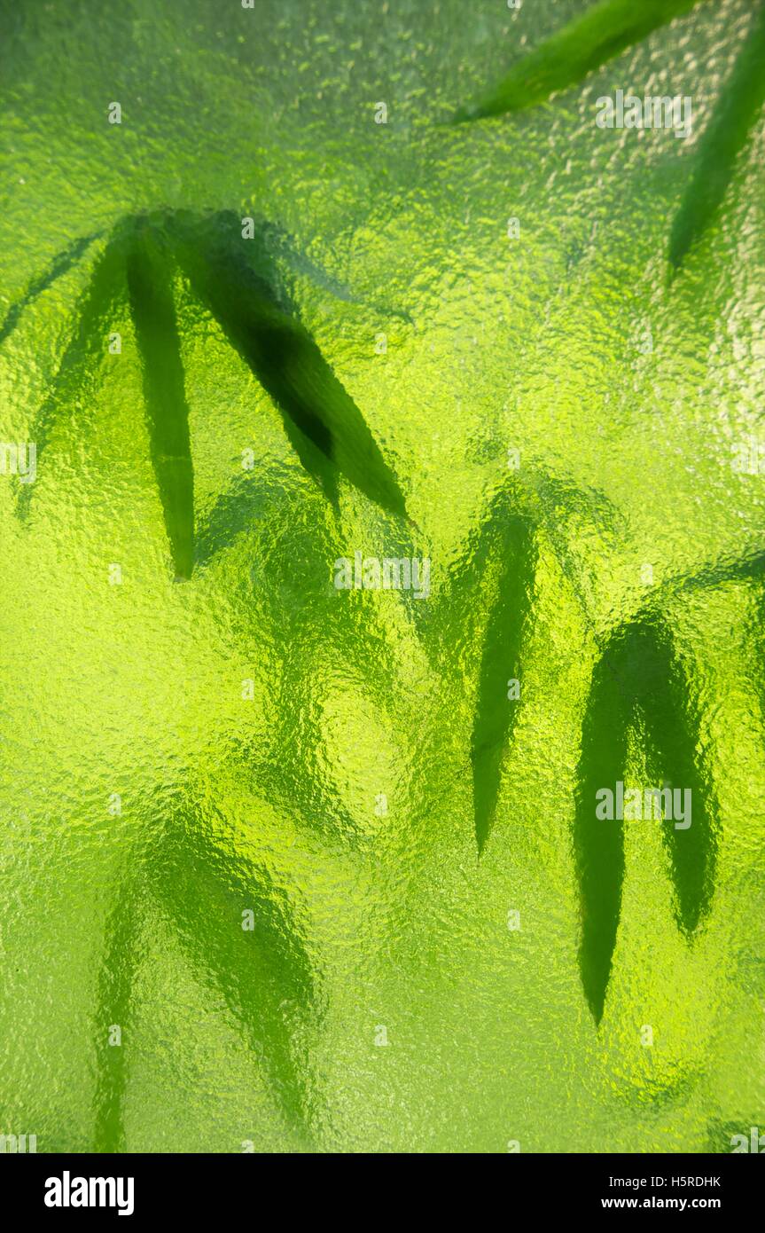 Frosted glass texture hi-res stock photography and images - Alamy